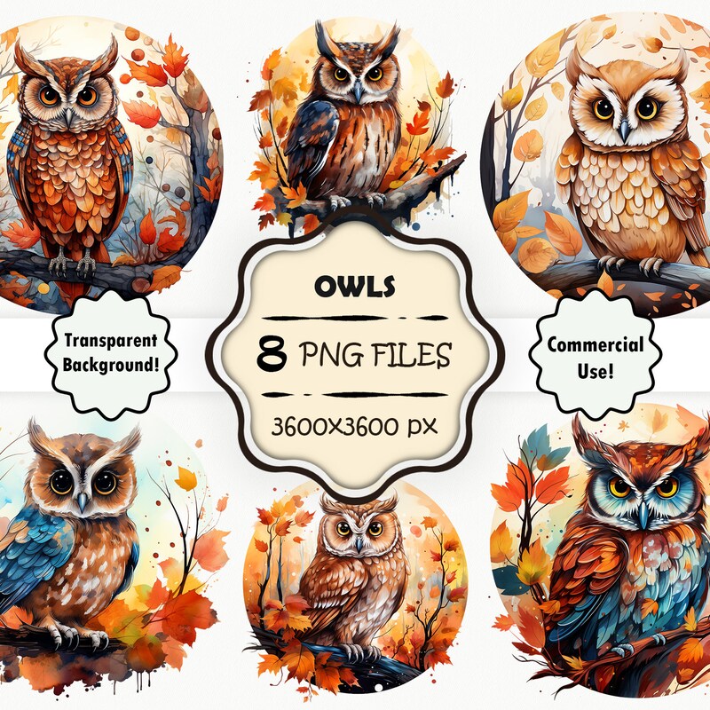 Fall Owl Clipart - Etsy