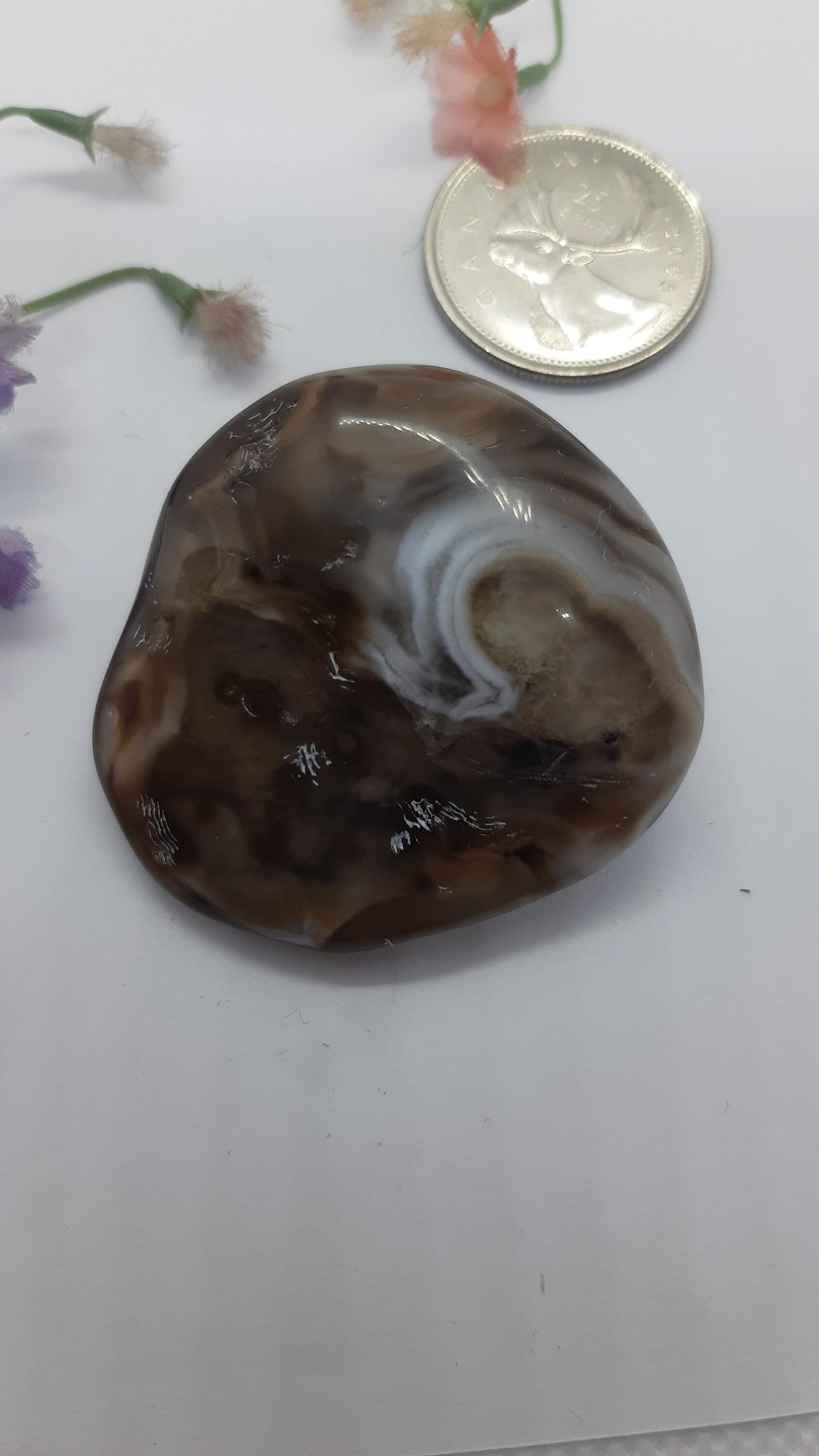 Enhydro Quartz/ Enhydro Crystal/enhydro Geode Agate/water | Etsy