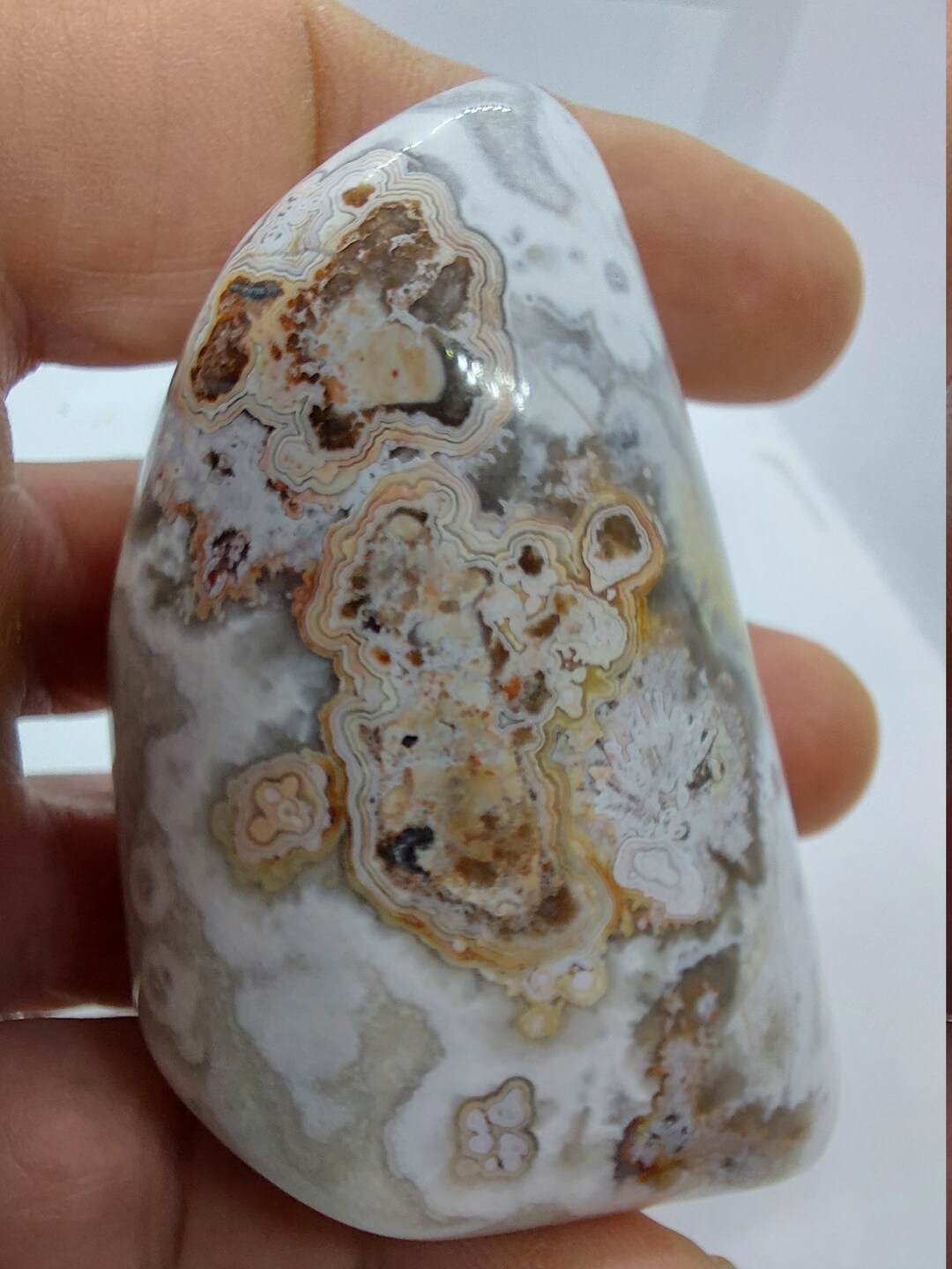 Mexican Crazy Lace Agate/ Large Polished Agate - Etsy