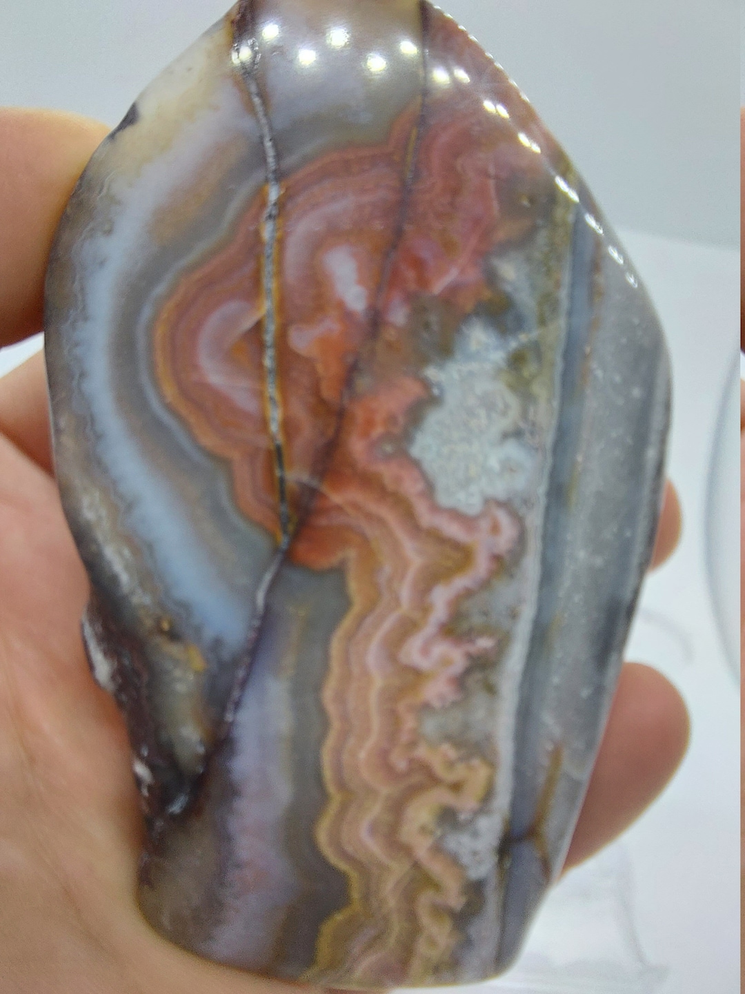 Mexican Crazy Lace Agate/ Large Polished Agate - Etsy