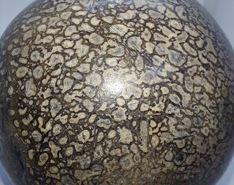 Dinosaur Gembone Sphere Natural Fossil Dinosaur Gem Bone Round Specimen ...