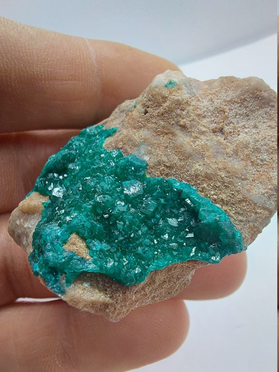 Dioptase Crystalline Specimen Home & Living Home Décor Rocks & Geodes ...