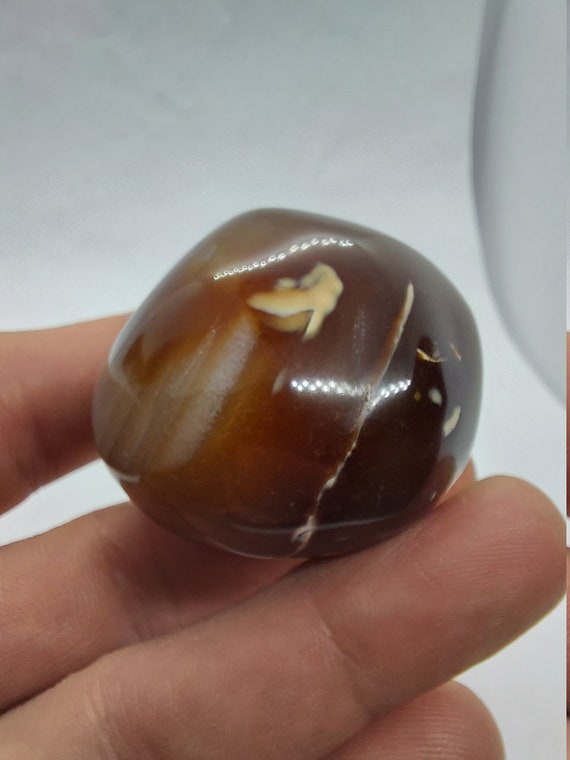 Polished whole Brazilian Agate Nodule Home & Living Home Décor etna.com.pe