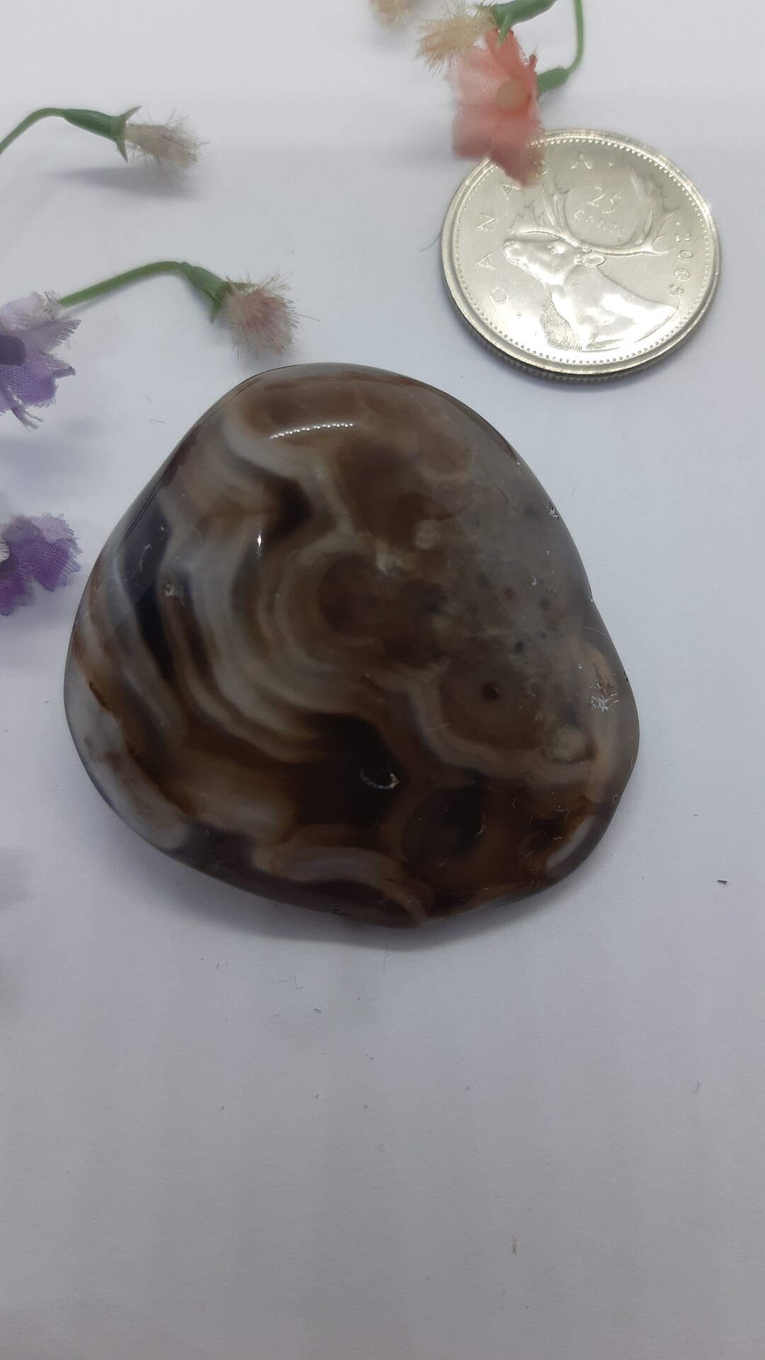 Enhydro Quartz/ Enhydro Crystal/enhydro Geode Agate/water Agate - Etsy