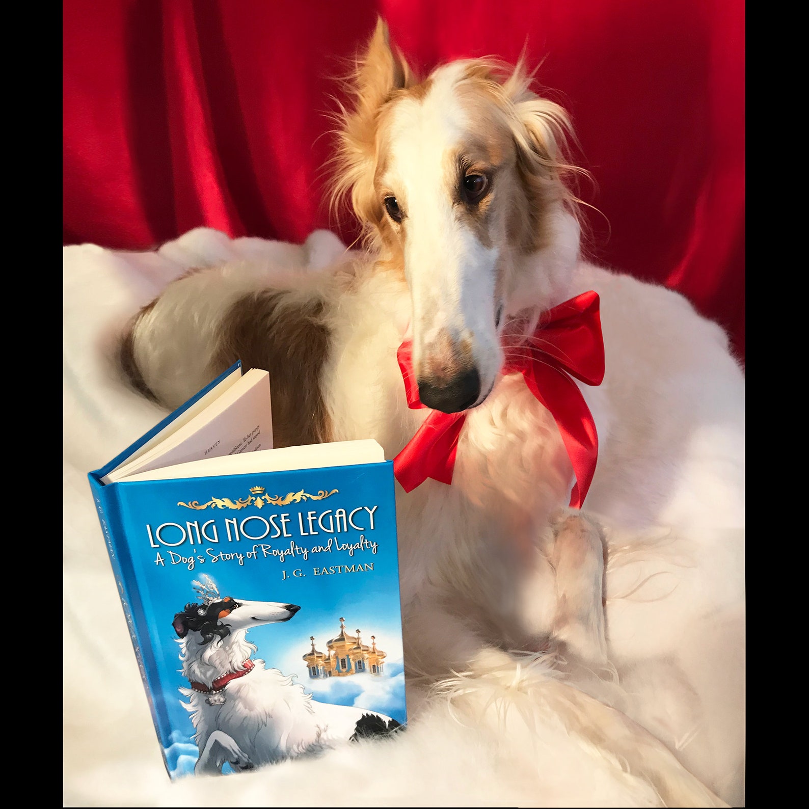 Author Signed Borzoi Dog Book | Etsy