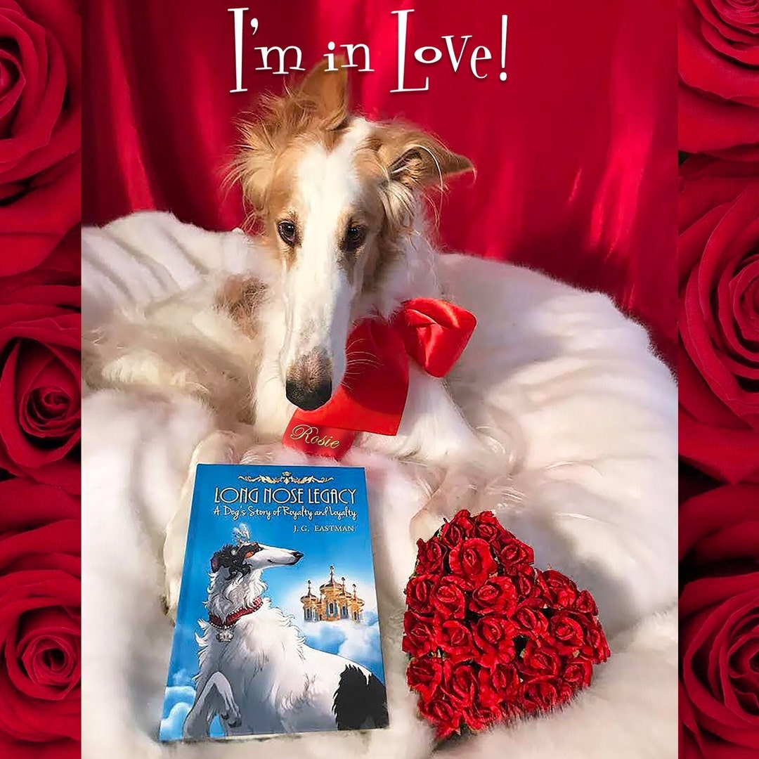 Author Signed Borzoi Dog Book - Etsy