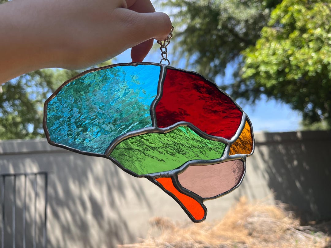 Brain Stained Glass! - Etsy