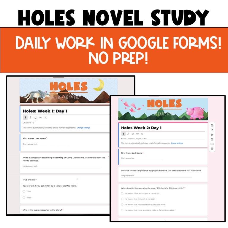 Holes Digital and Printable Novel Study/literature Guide/comprehension ...