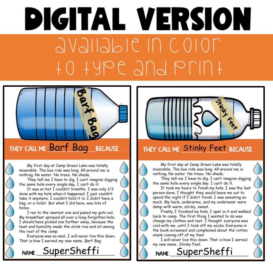 Holes Novel Study Activity/ Literature Guide | Comprehension Worksheets ...