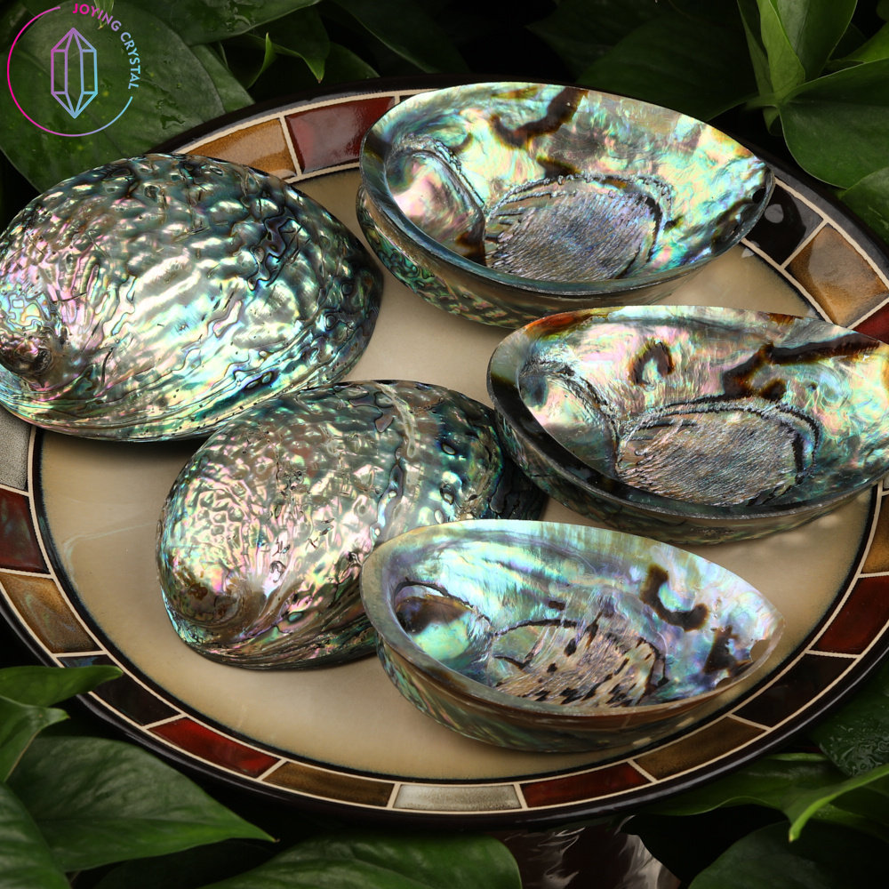 Natural Large Abalone Shell Home Decorationsmudge | Etsy