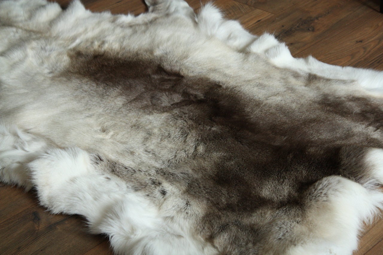 GIANT Scandinavian Reindeer Skin Giant Exclusive Scandinavian Reindeer ...