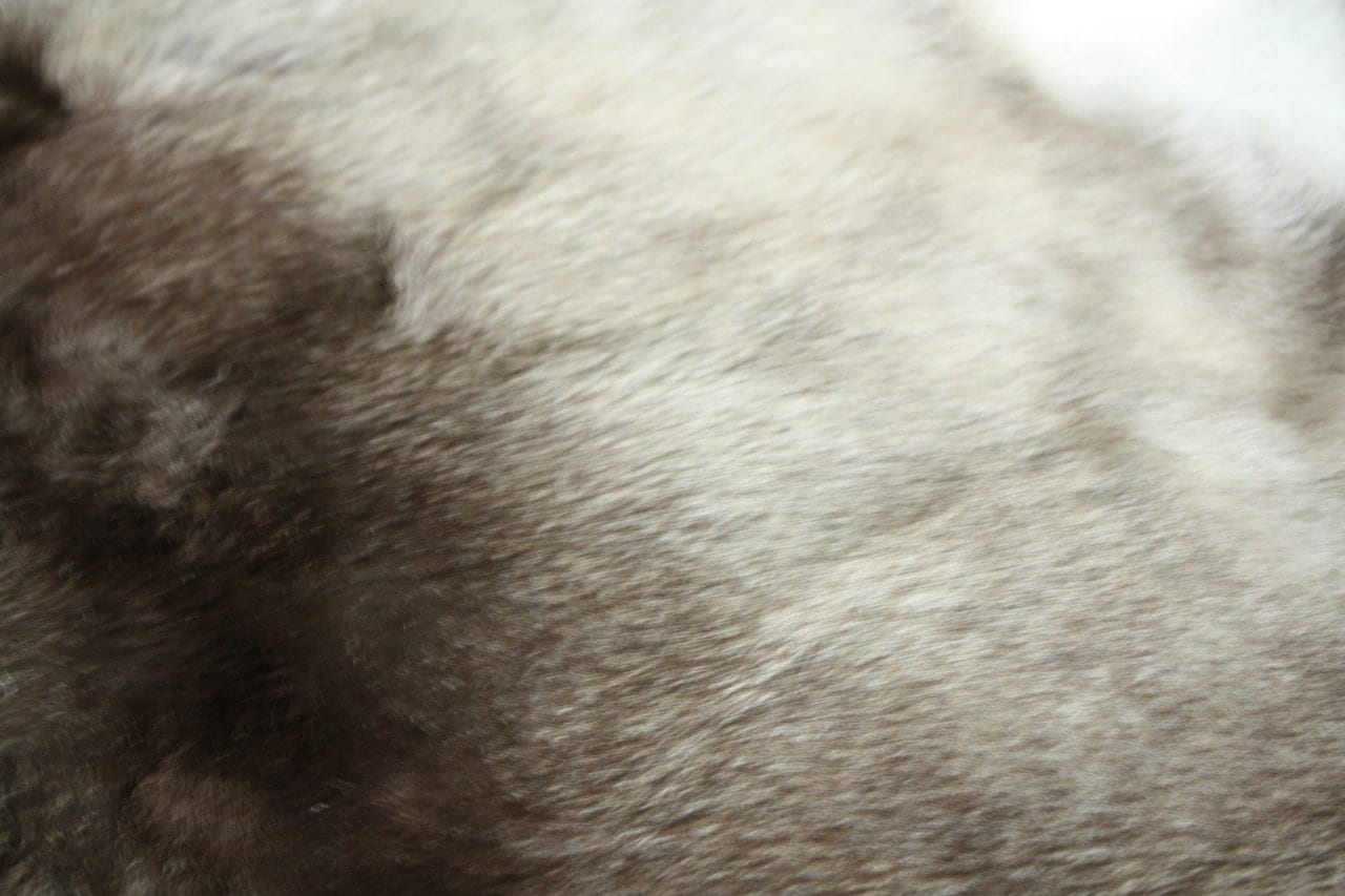 GIANT Scandinavian Reindeer Skin Giant Exclusive Scandinavian Reindeer ...