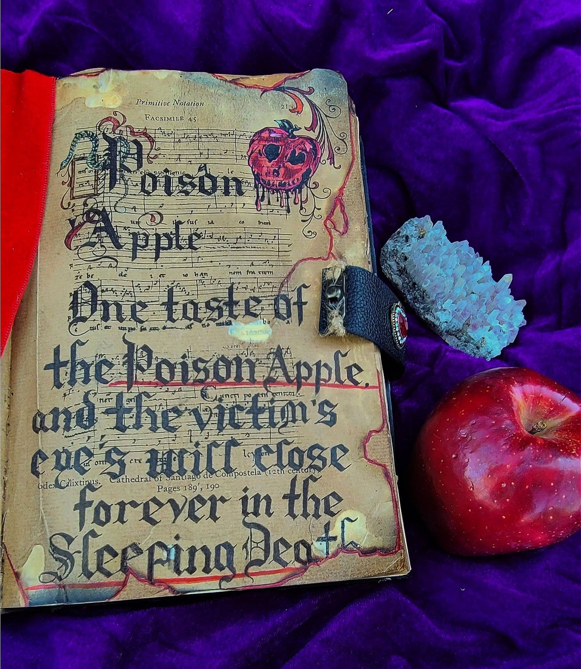Evil Queen Spell Book - Etsy