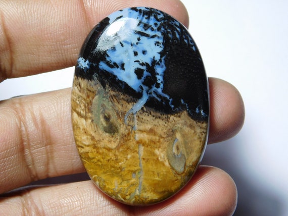 Natural Petrified Palm Root Fossil Smooth Cabochon Loose - Etsy