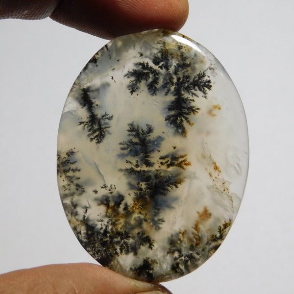 Dendritic Agate Cabochons - Etsy