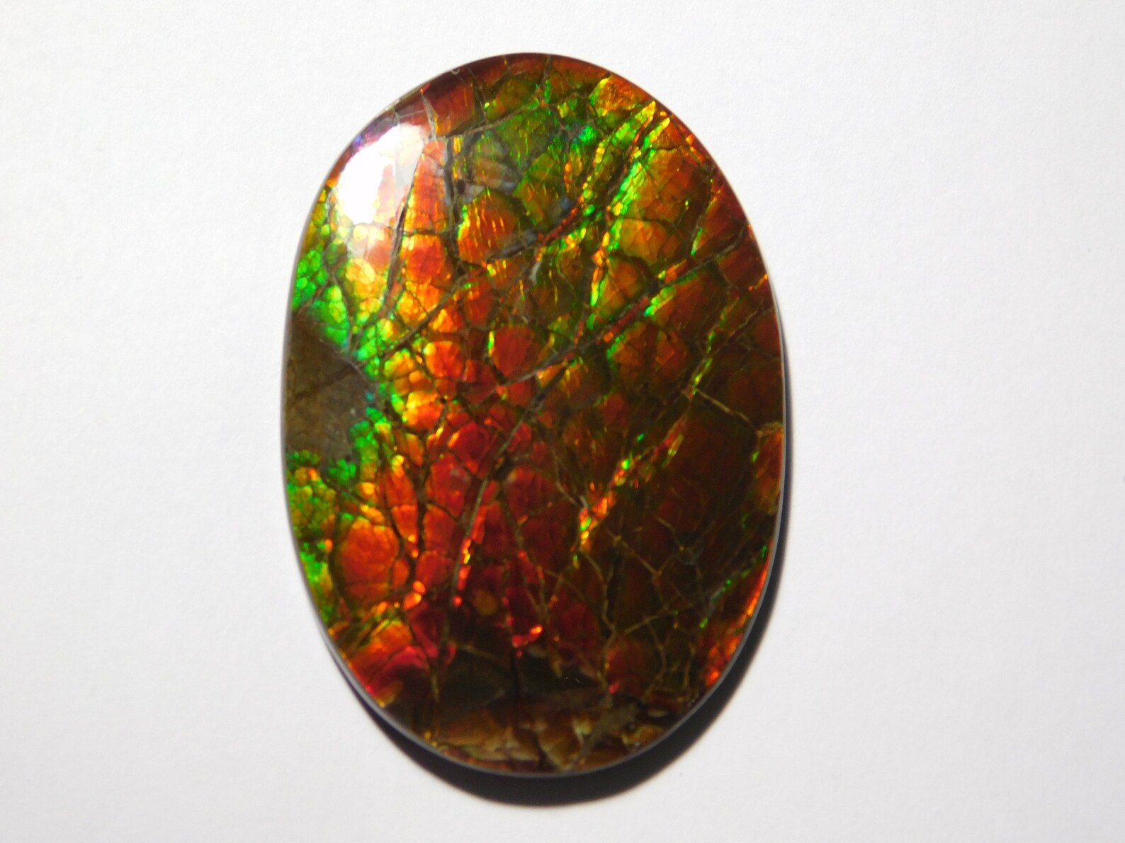 Very Rare & Beautiful Ammolite Gemstone Ammolite Cabochon Ammolite ...