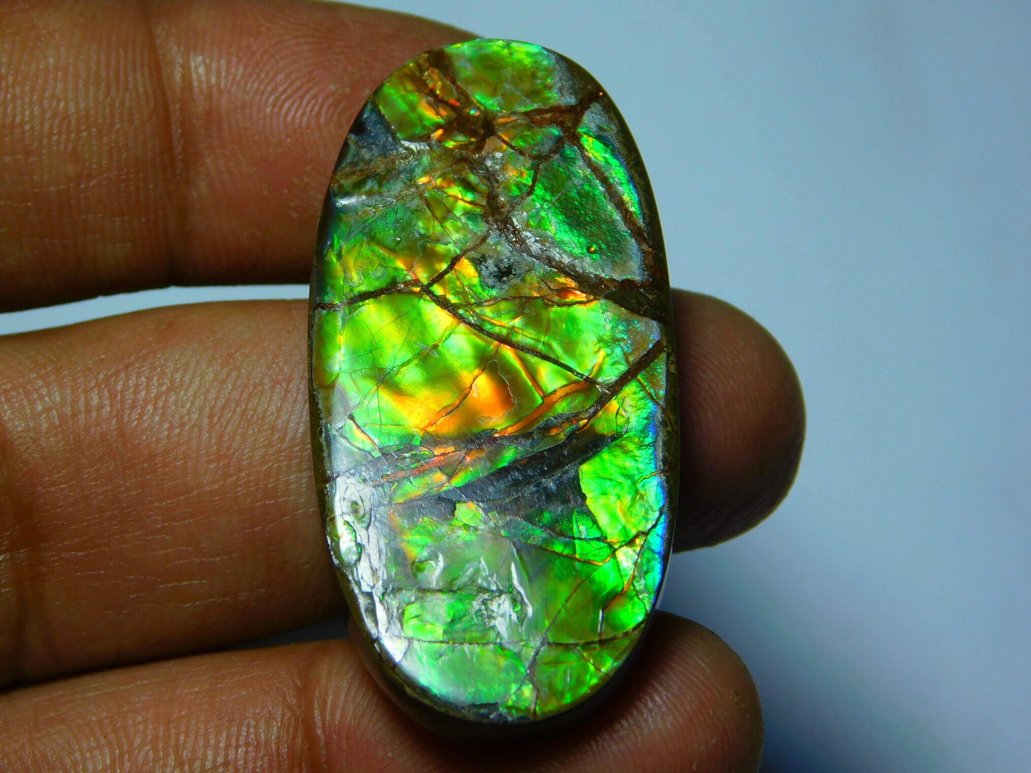 Very Rare & Beautiful Ammolite Gemstone Ammolite Cabochon - Etsy