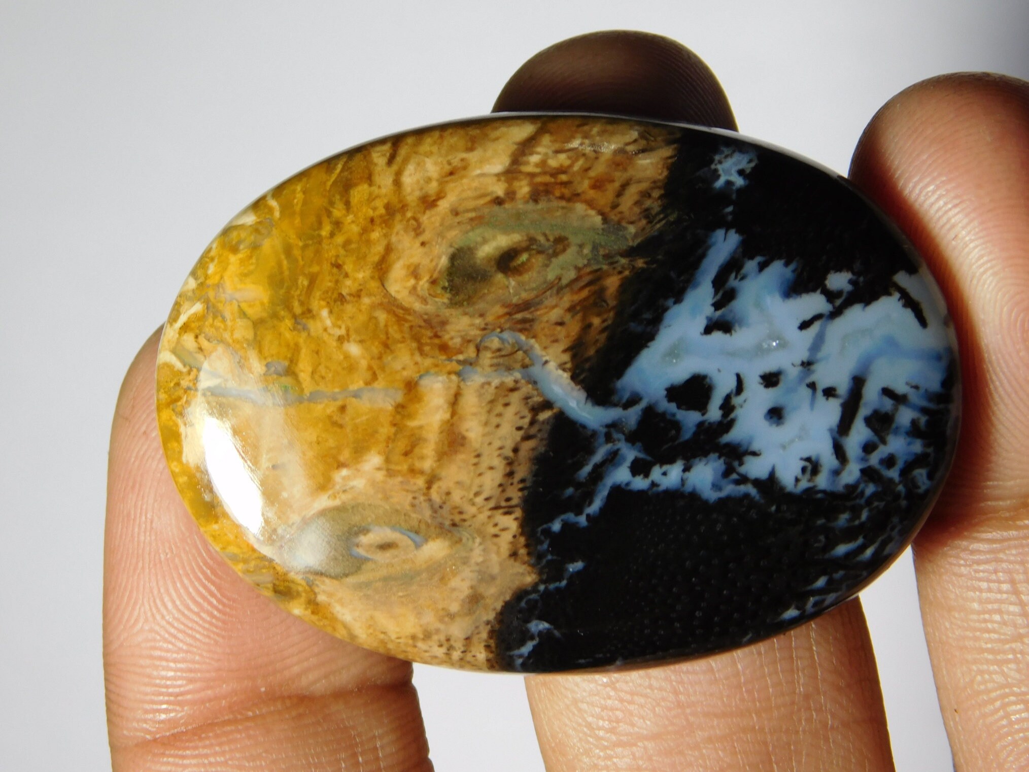 Natural Petrified Palm Root Fossil Smooth Cabochon Loose - Etsy UK
