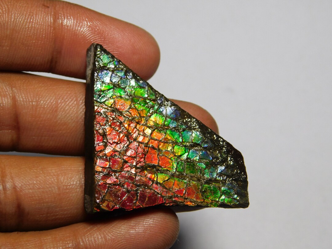 Beautiful Ammolite Slice Gemstone Ammolite Slice Cabochon Ammolite ...