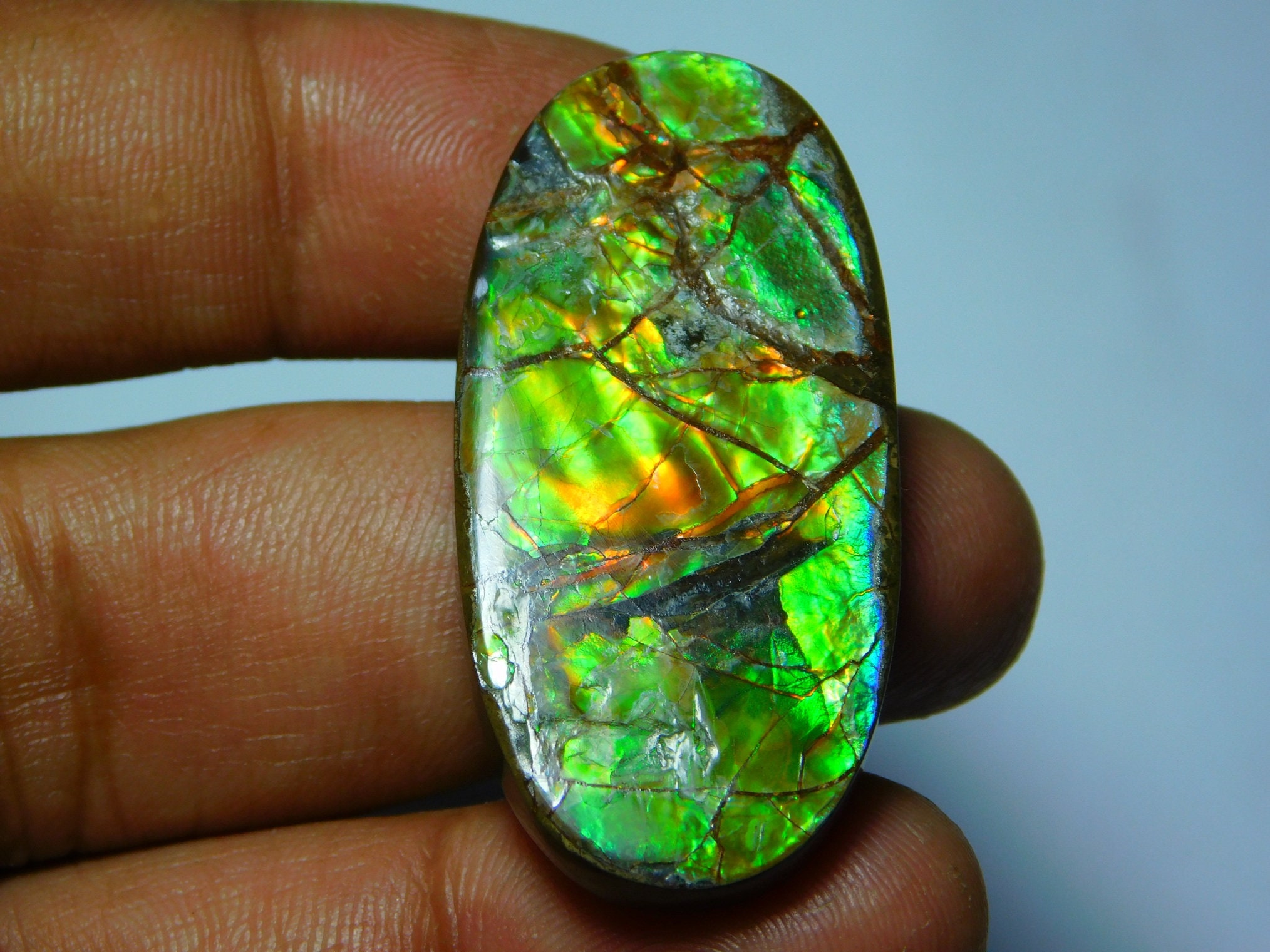 Very Rare & Beautiful Ammolite Gemstone Ammolite Cabochon - Etsy