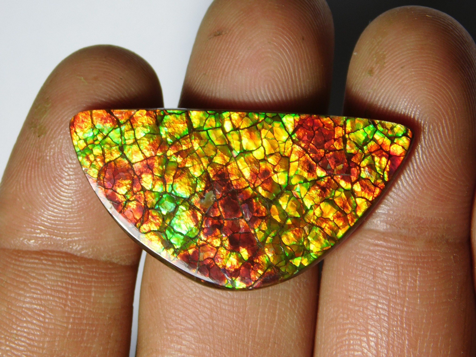 Very Rare & Beautiful Ammolite Gemstone Ammolite Cabochon | Etsy