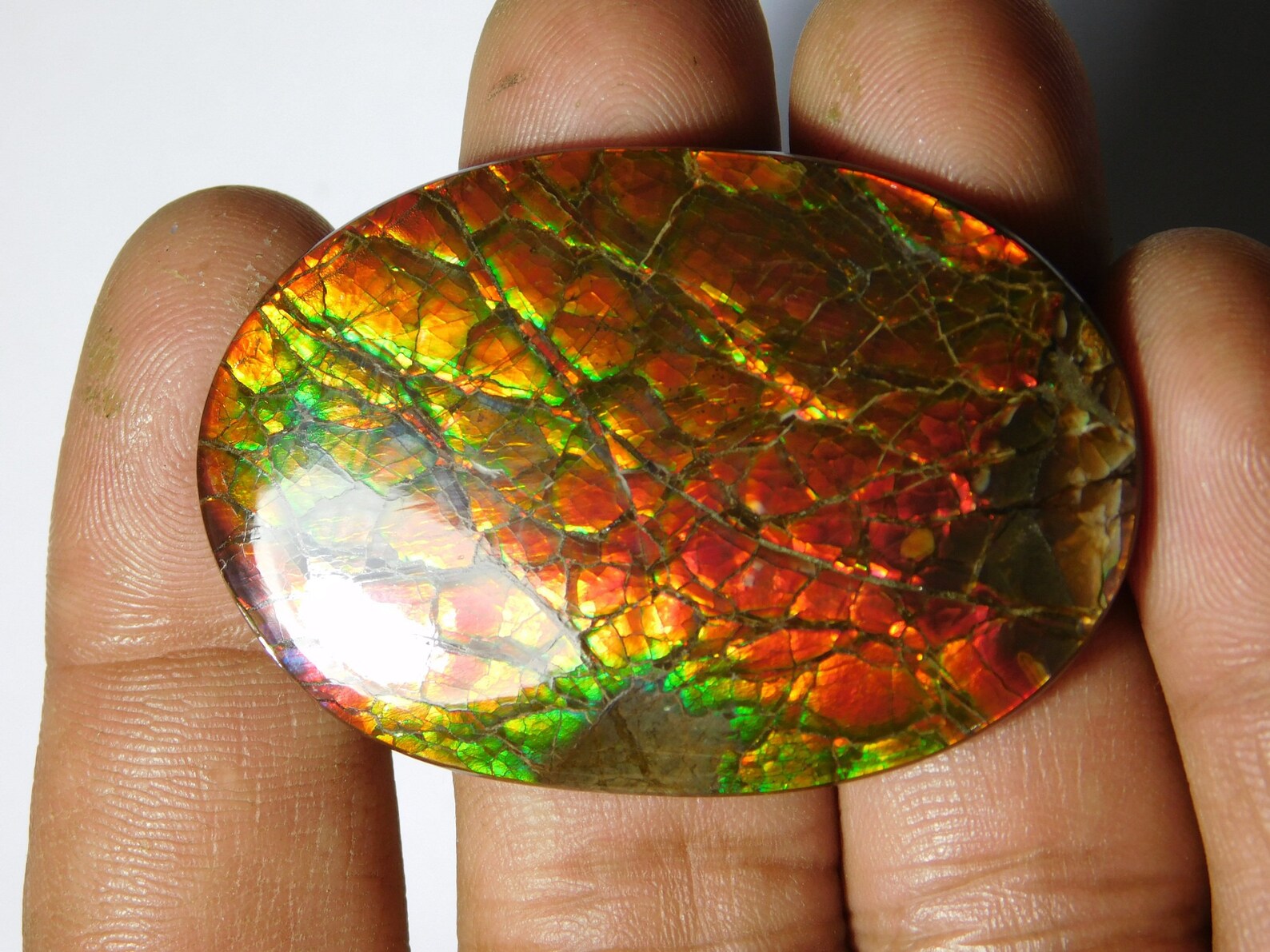 Very Rare & Beautiful Ammolite Gemstone Ammolite Cabochon Ammolite ...