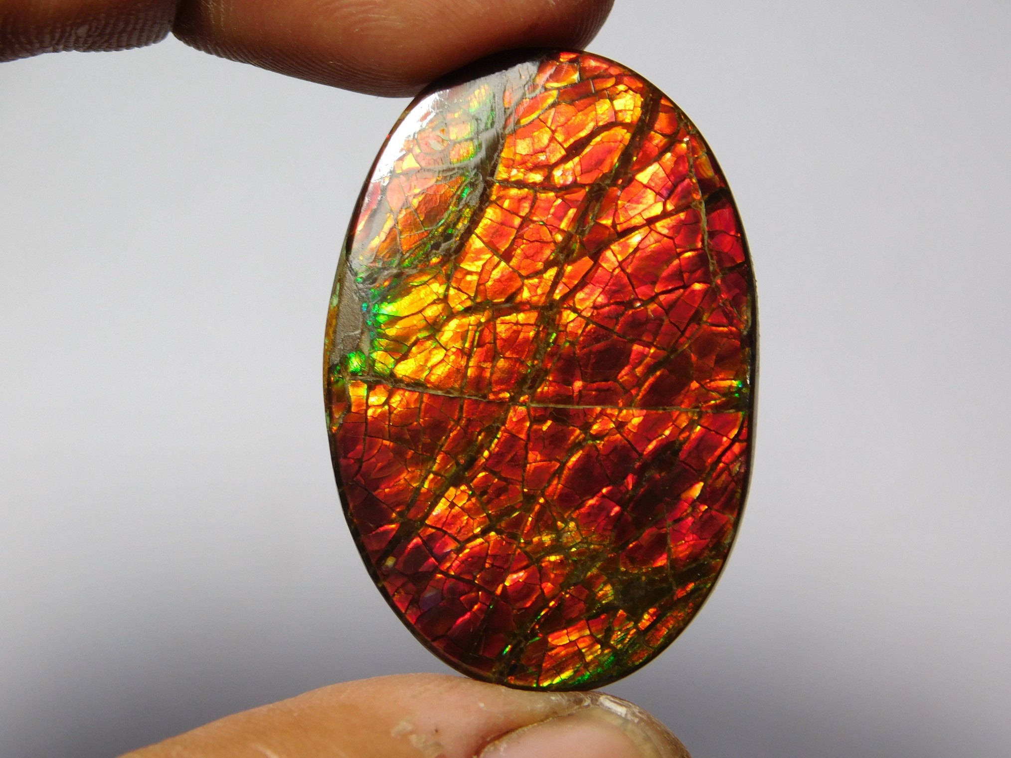 Very Rare & Beautiful Ammolite Gemstone Ammolite Cabochon | Etsy