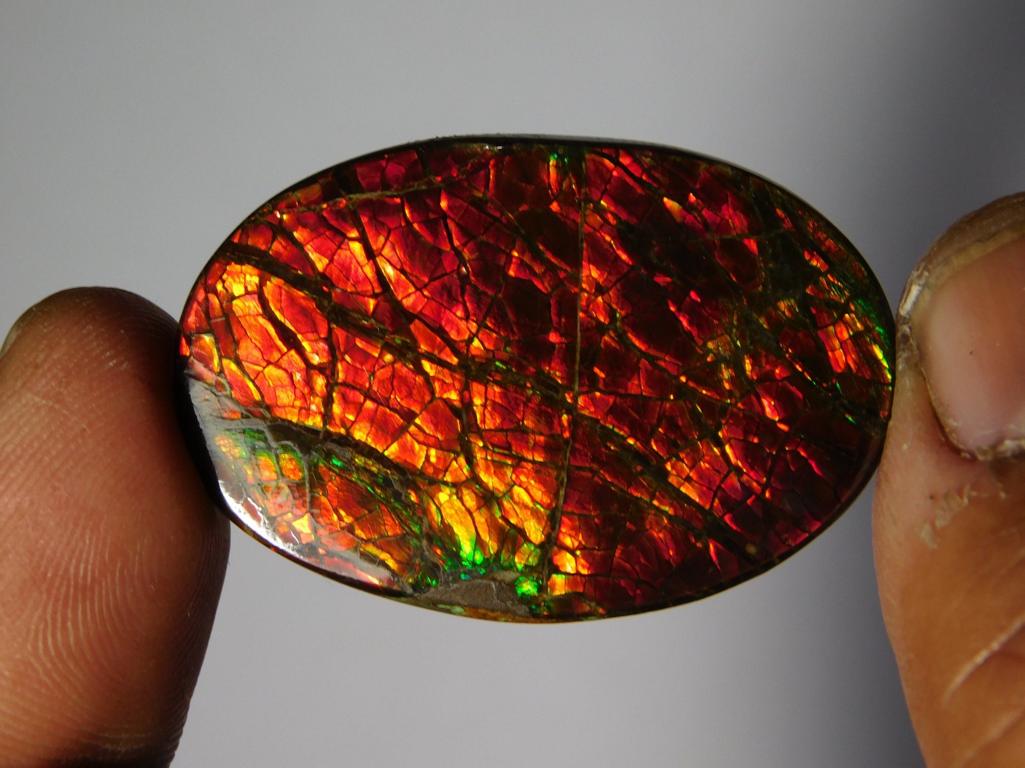 Very Rare & Beautiful Ammolite Gemstone Ammolite Cabochon - Etsy