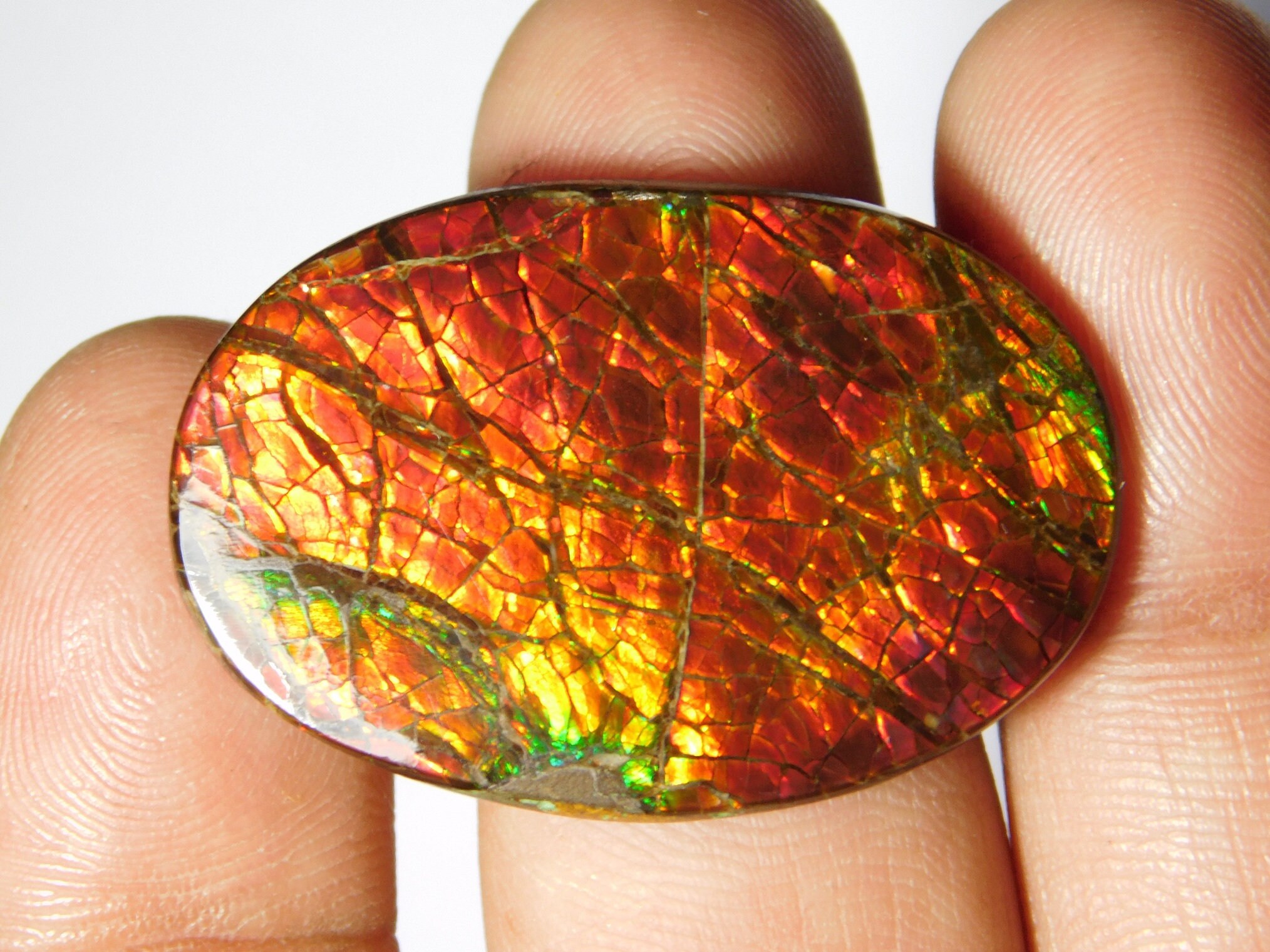 Very Rare & Beautiful Ammolite Gemstone Ammolite Cabochon | Etsy