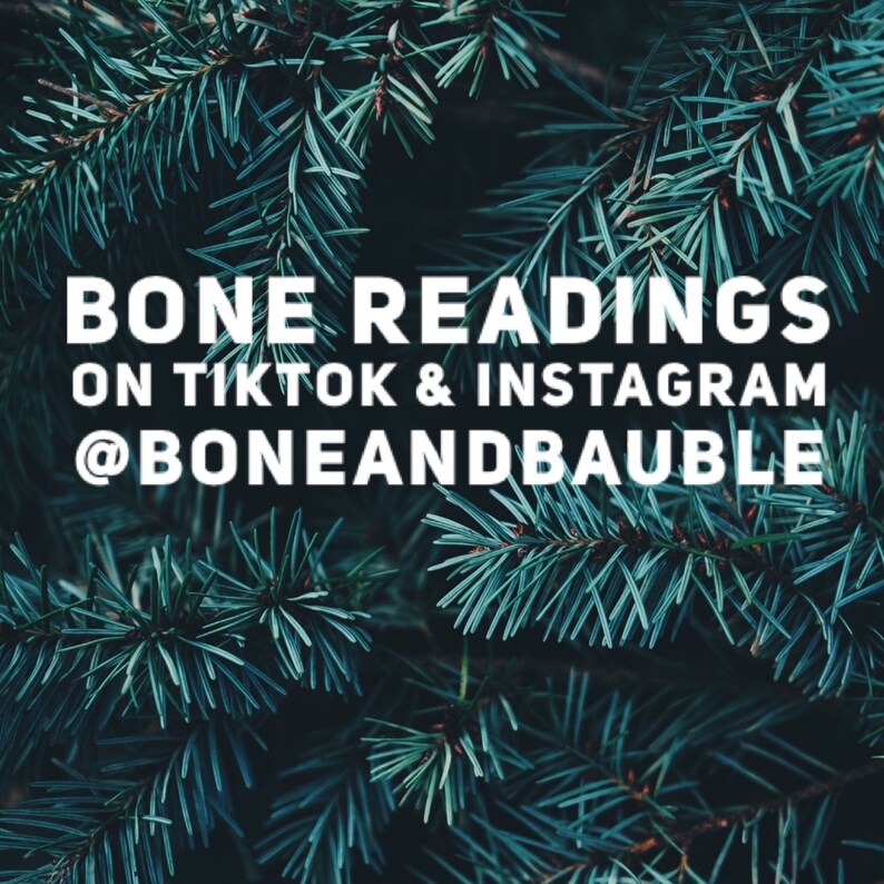 Crow Skull Resin for Bone Throwing Osteomancy Bone Casting | Etsy