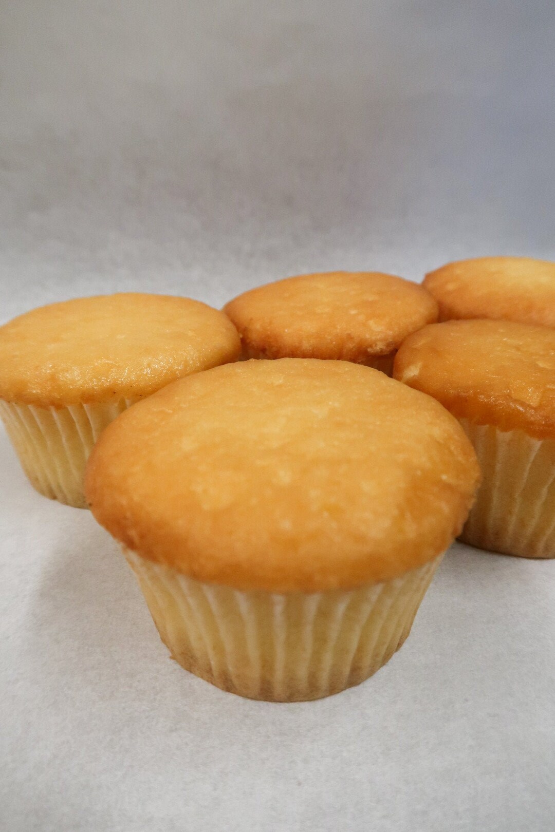 1/2 Dozen Cupcakes vanilla/chocolate With or Without Buttercream ...