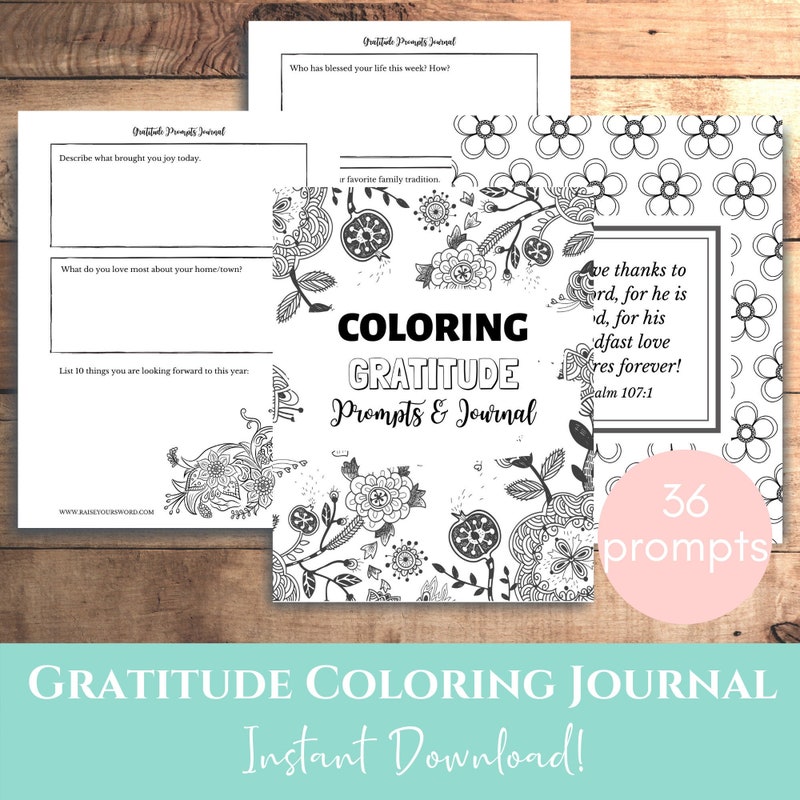 Gratitude Journal - Etsy