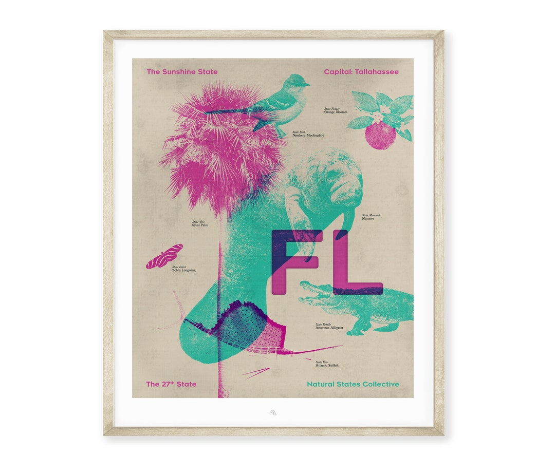 Florida State Symbol Art Print Florida Poster Manatee Art - Etsy