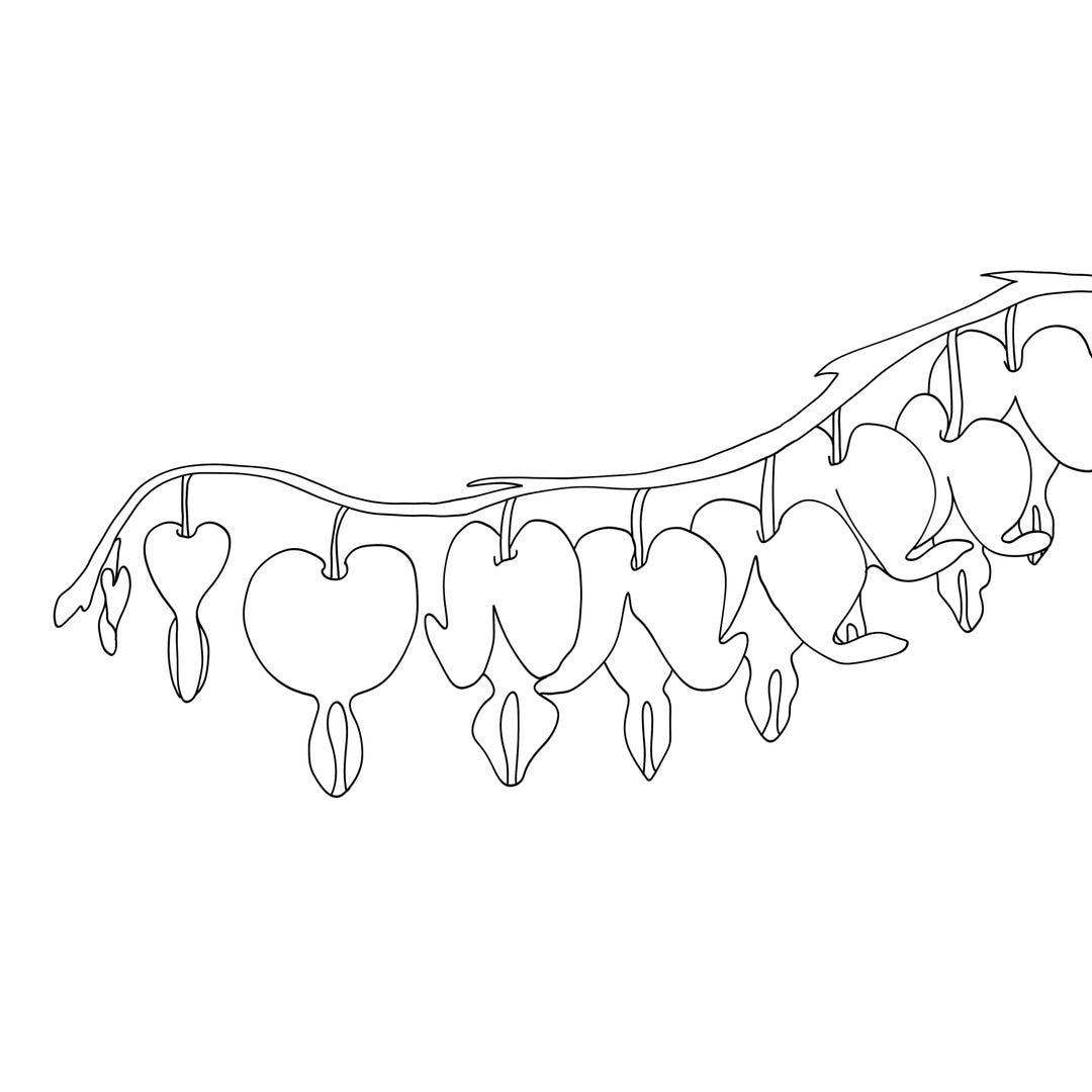 Hand Drawn Bleeding Heart Flower Line Art, SVG PNG (digital Download ...