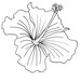 Hand Drawn Hibiscus Flower Line Art, SVG PNG (digital Download) - Etsy