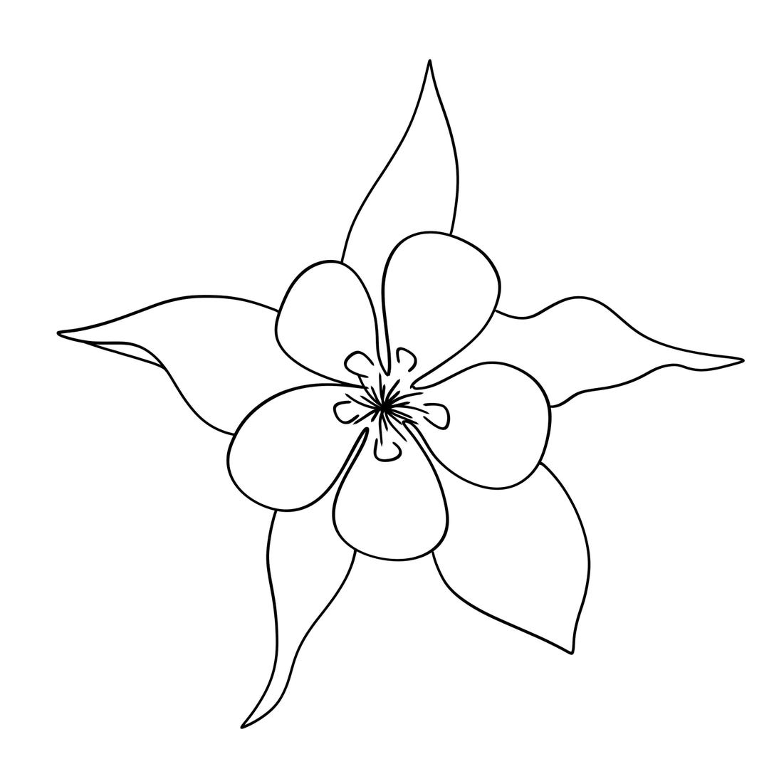 Hand Drawn Columbine Flower Line Art, SVG PNG (digital Download) - Etsy
