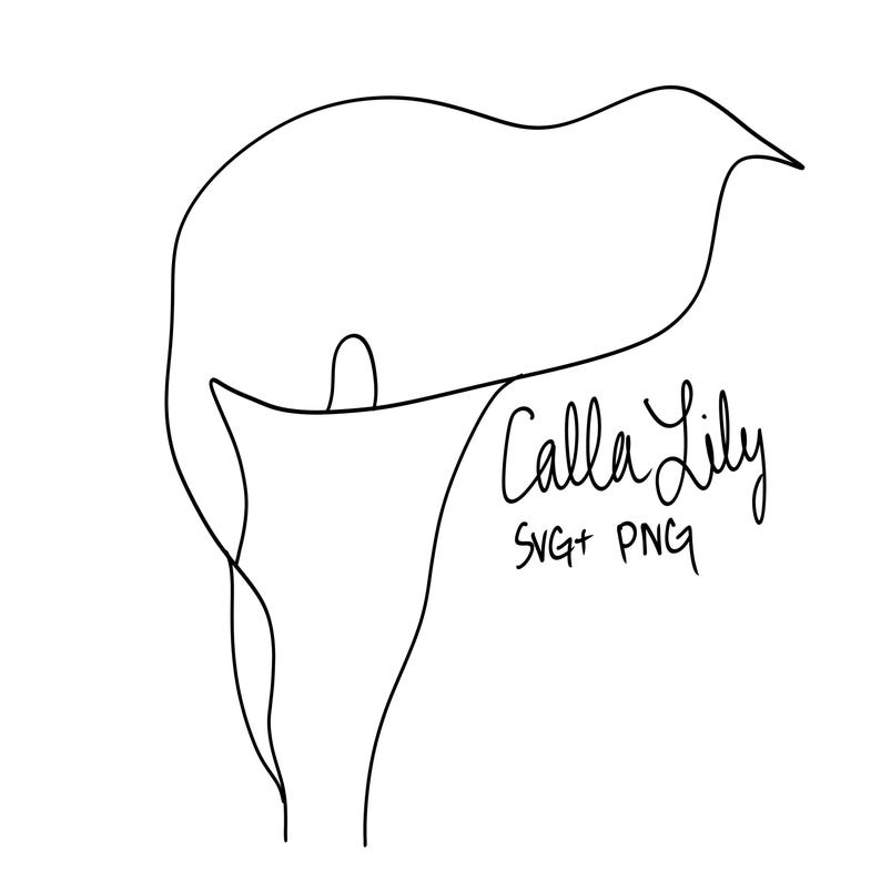 Hand Drawn Calla Lily Flower Line Art, SVG PNG (digital Download) - Etsy