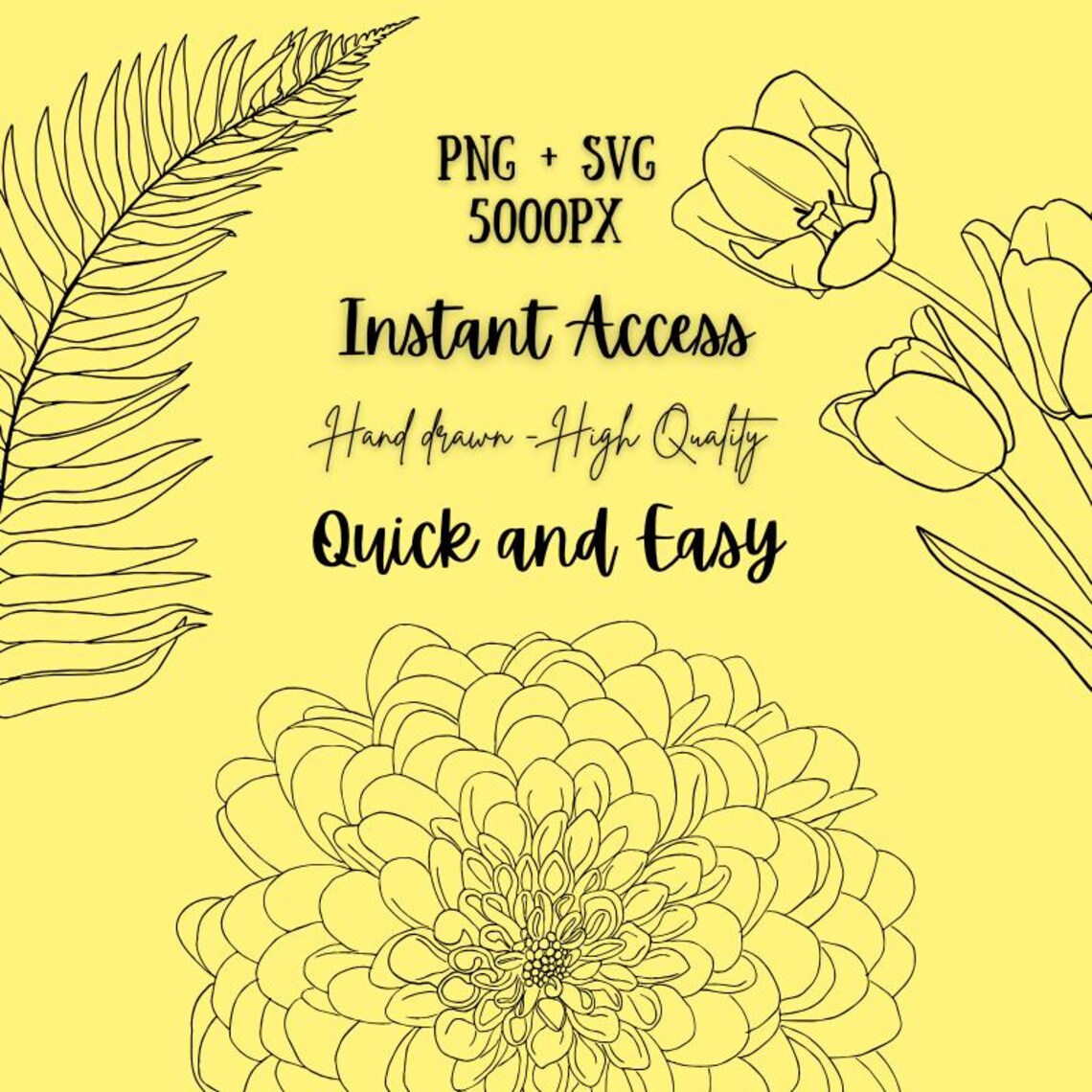 Hand Drawn Cosmos Flower Line Art, SVG PNG (digital Download) - Etsy