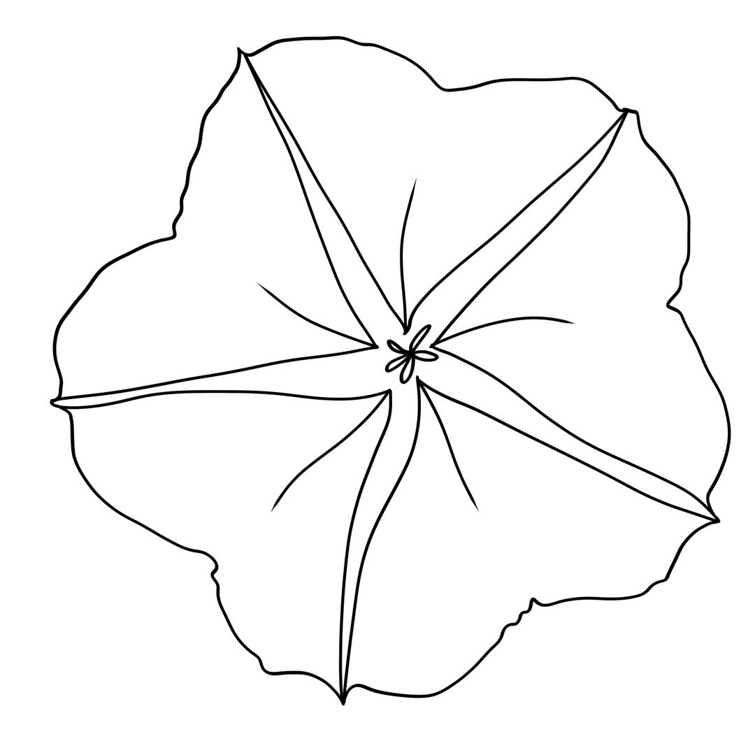 Hand Drawn Moonflower Line Art, SVG PNG (digital Download) - Etsy