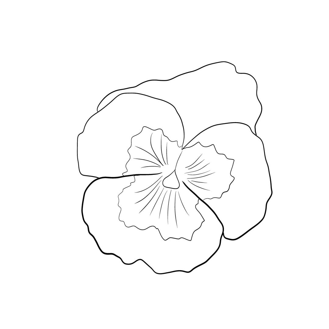 Hand Drawn Pansy Flower Line Art, SVG PNG (digital Download) - Etsy
