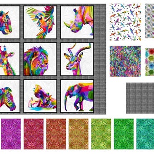 Quilt Kit colorful by Jason Yenter for in the Beginning Fabrics 54 X 54 ...