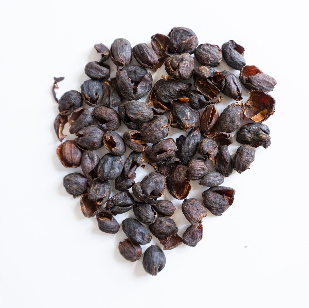 Cascara Coffee Cherry Tea (100g) / Vietnamese Arabica / Low Caffeine ...