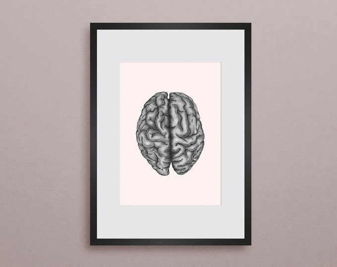 Brain Sketch Art Print CNS Drawing Print, Office Decor, Neurology ...