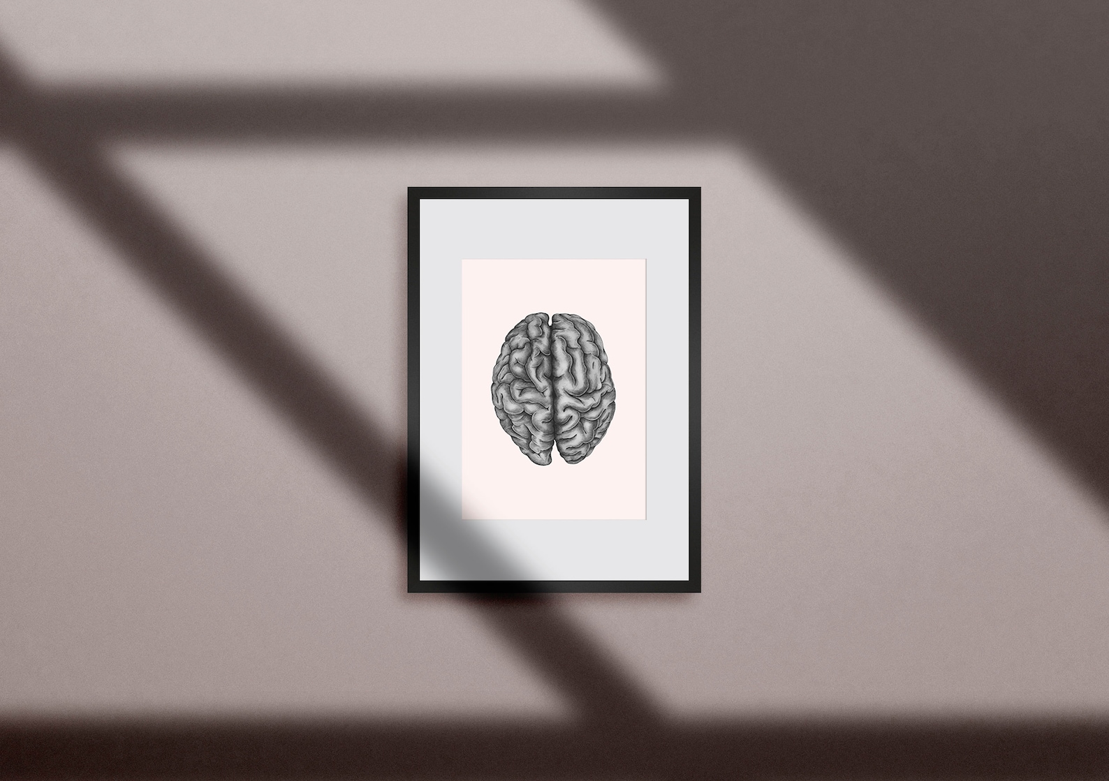 Brain Sketch Art Print | CNS Drawing Print, Office Decor, Neurology ...