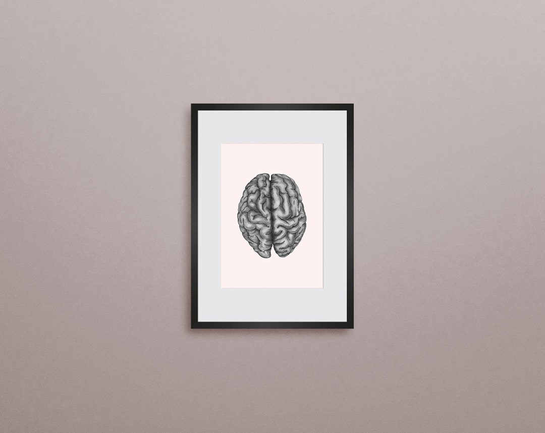 Brain Sketch Art Print | CNS Drawing Print, Office Decor, Neurology ...