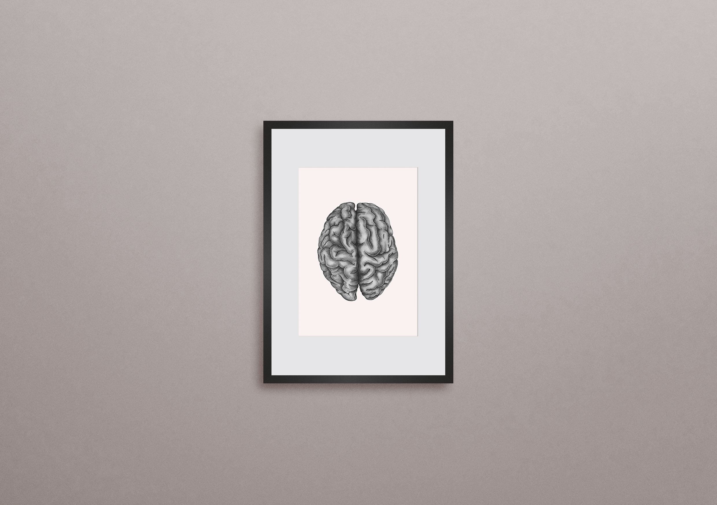 Brain Sketch Art Print | CNS Drawing Print, Office Decor, Neurology ...