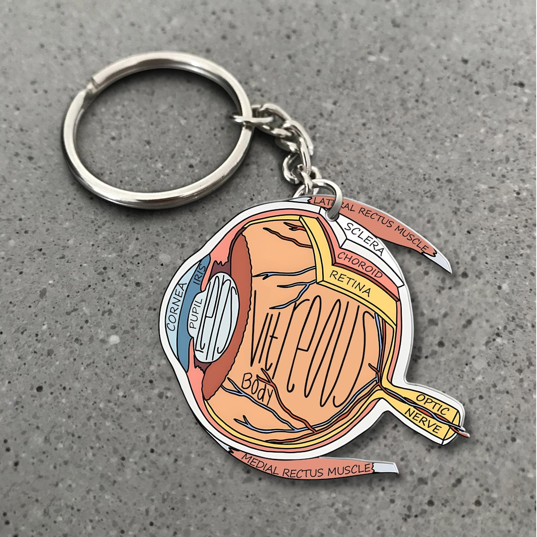 Eye Anatomy Acrylic Keychain, Eye Doctor Gift, Optometrist Keychain ...