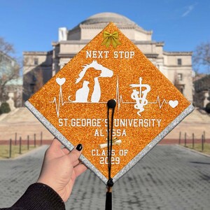 Personalized Veterinarian Graduation Cap Topper, Custom Vet Tech Grad ...