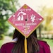 Personalized Veterinarian Graduation Cap Topper, Custom Vet Tech Grad ...
