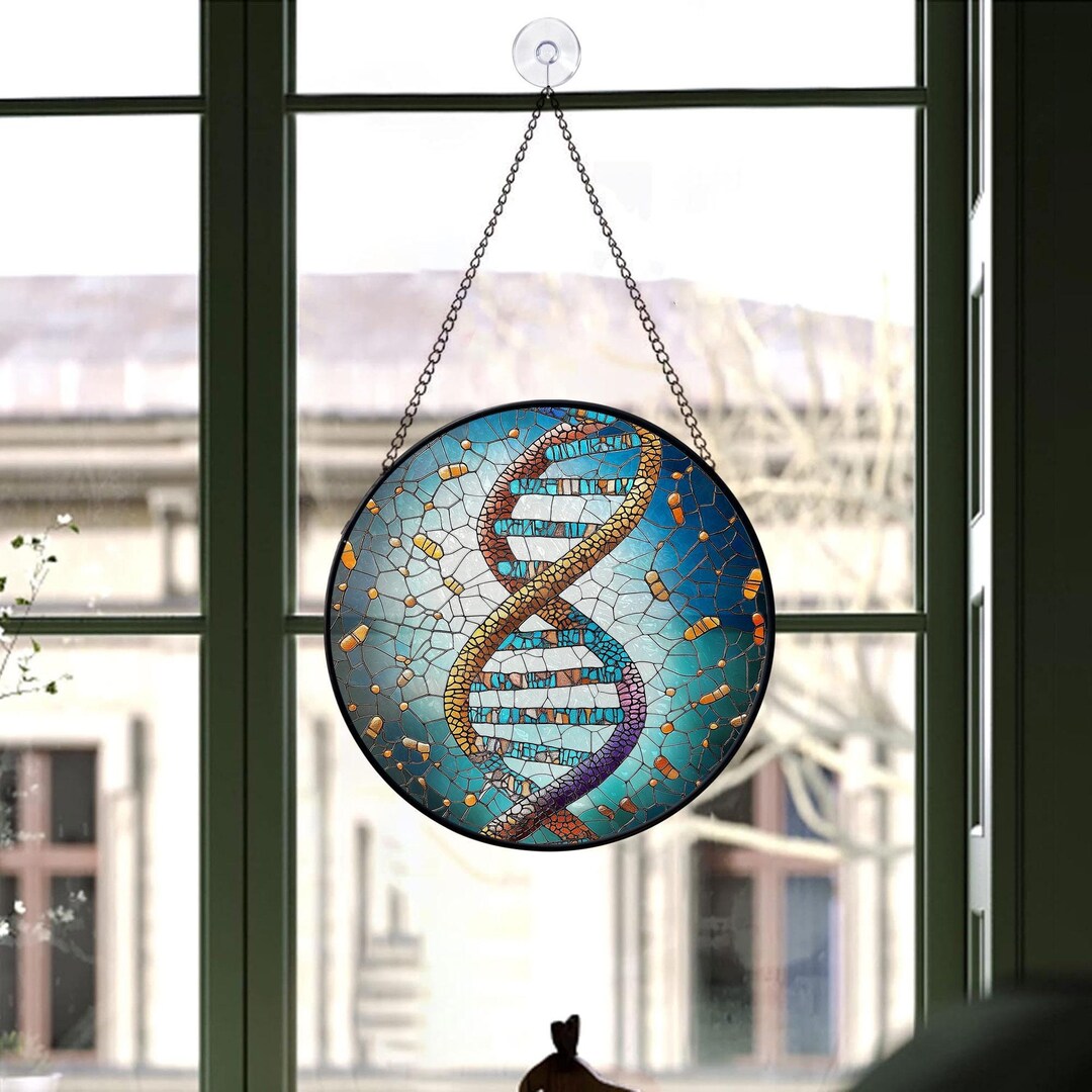Faux Stained Glass DNA Suncatcher, DNA Window Hangings for Garden, DNA ...